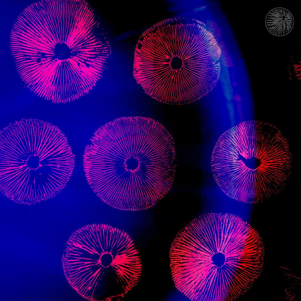 [Première!] NESS se suma a la impresionante compilación solidaria del ...